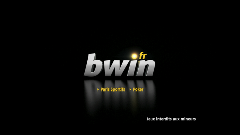 BWIN - BIRD ON A STONE