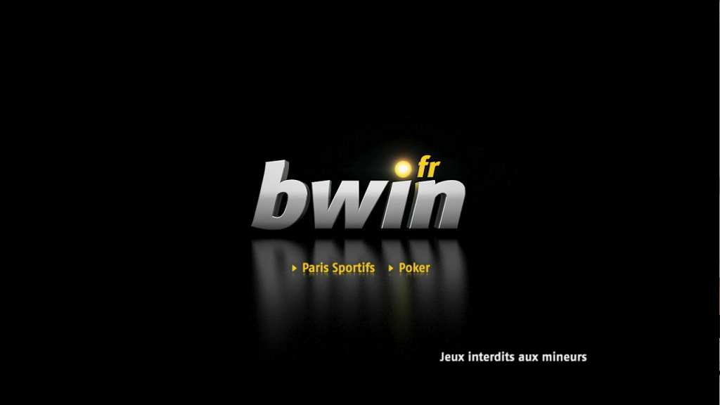 BWIN - BIRD ON A STONE